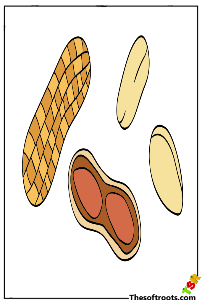 How to Draw Peanuts Drawing?